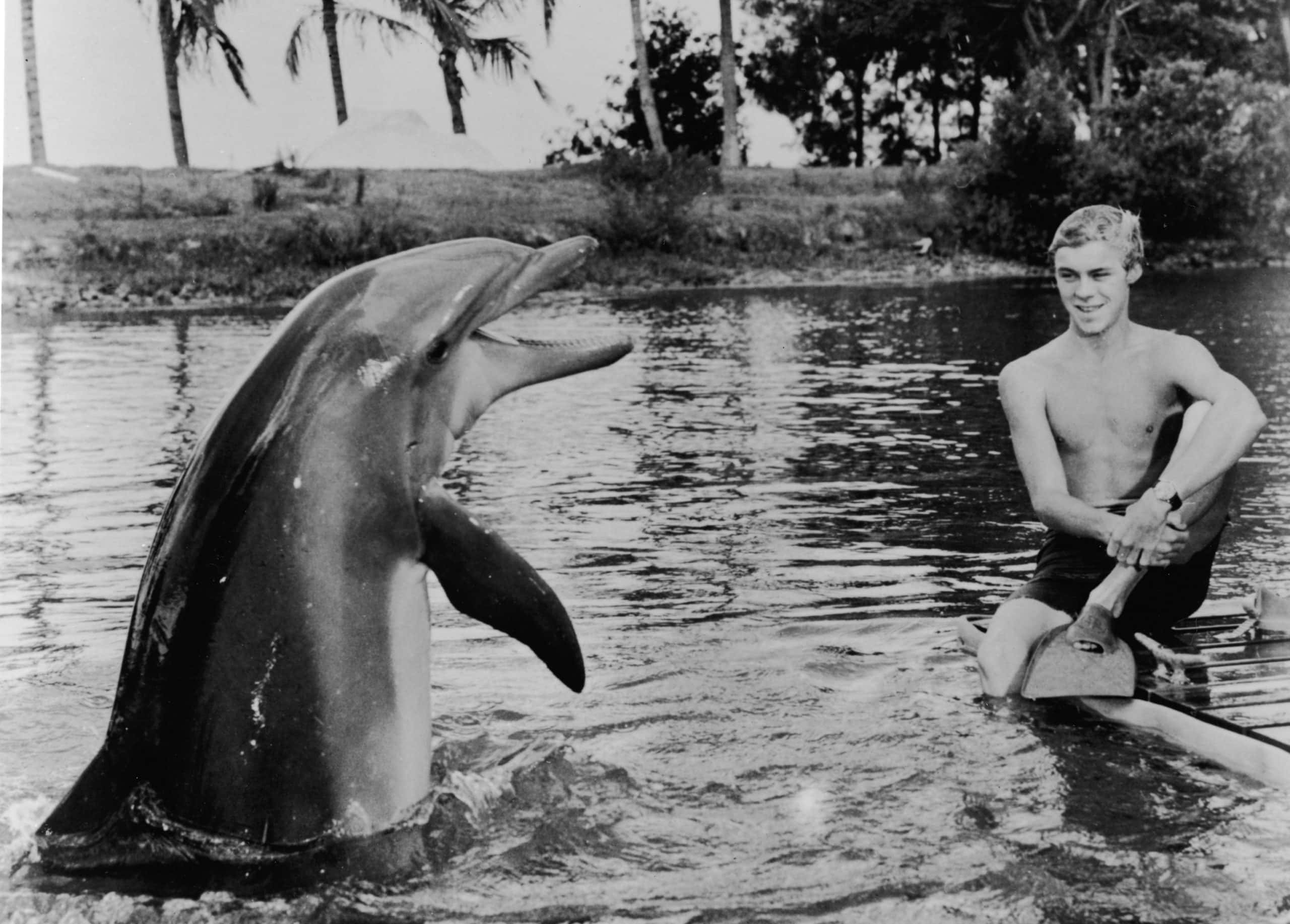 Top-Rated TV Classics From The 1960s
