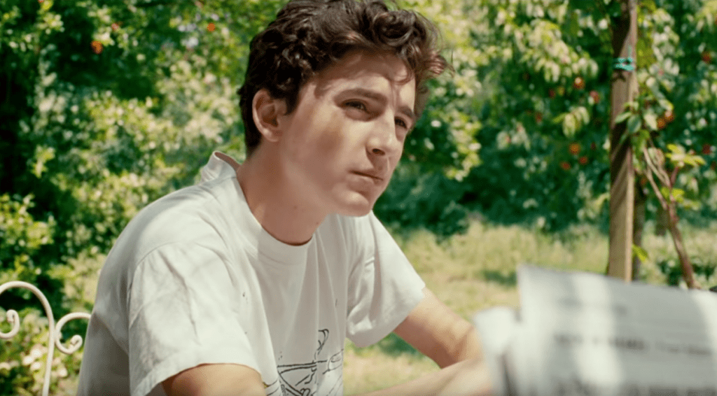 Timothee Chalamet's Most Memorable And Career-Defining Movie Roles