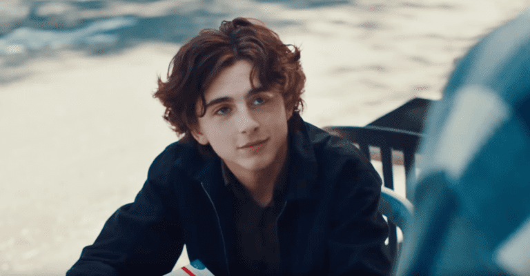Timothee Chalamet's Most Memorable And Career-Defining Movie Roles