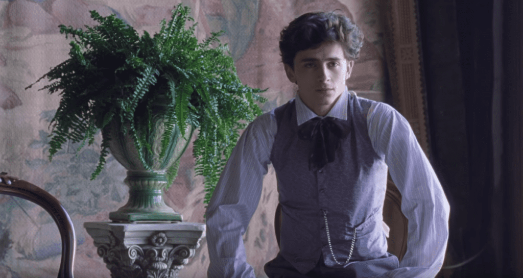 Timothee Chalamet's Most Memorable And Career-Defining Movie Roles