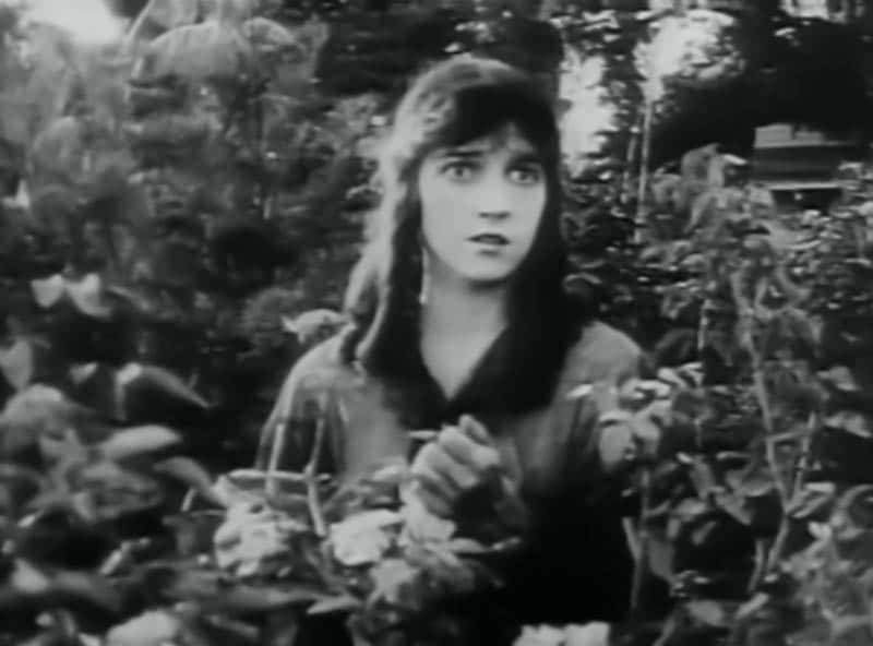 Moody Facts About Miriam Cooper, The Dark Lady Of The Silents