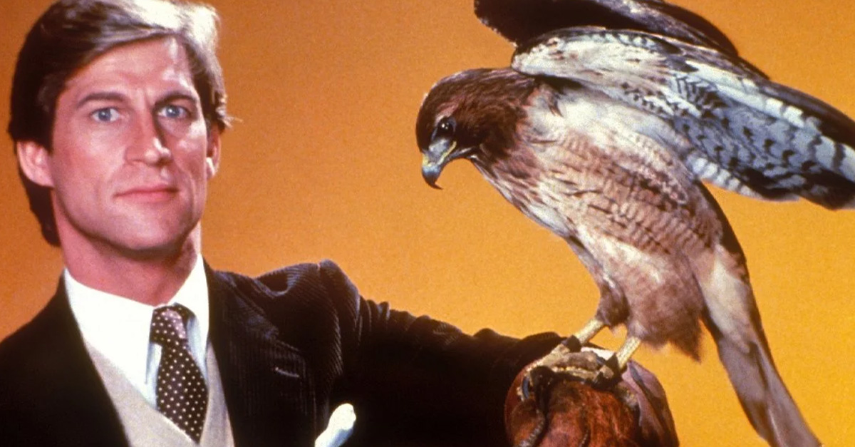 The Most Bizarre TV Show Concepts of All Time