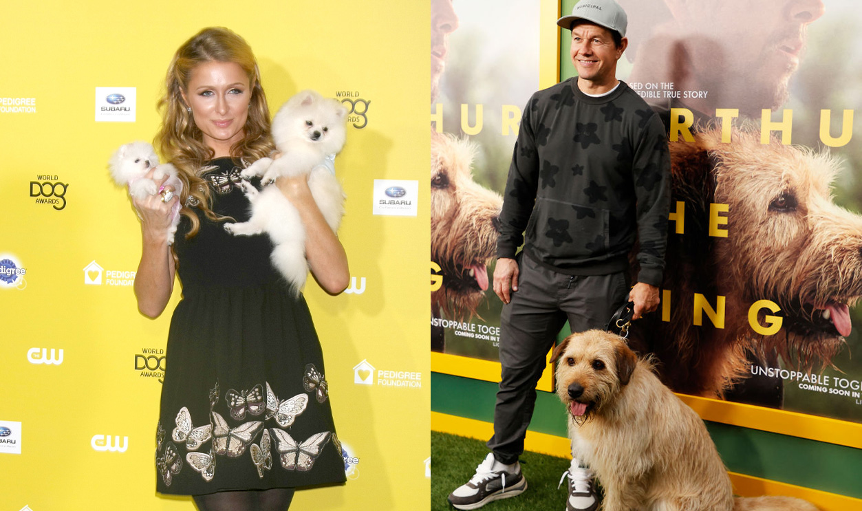 15 Famous Celebrity Pets