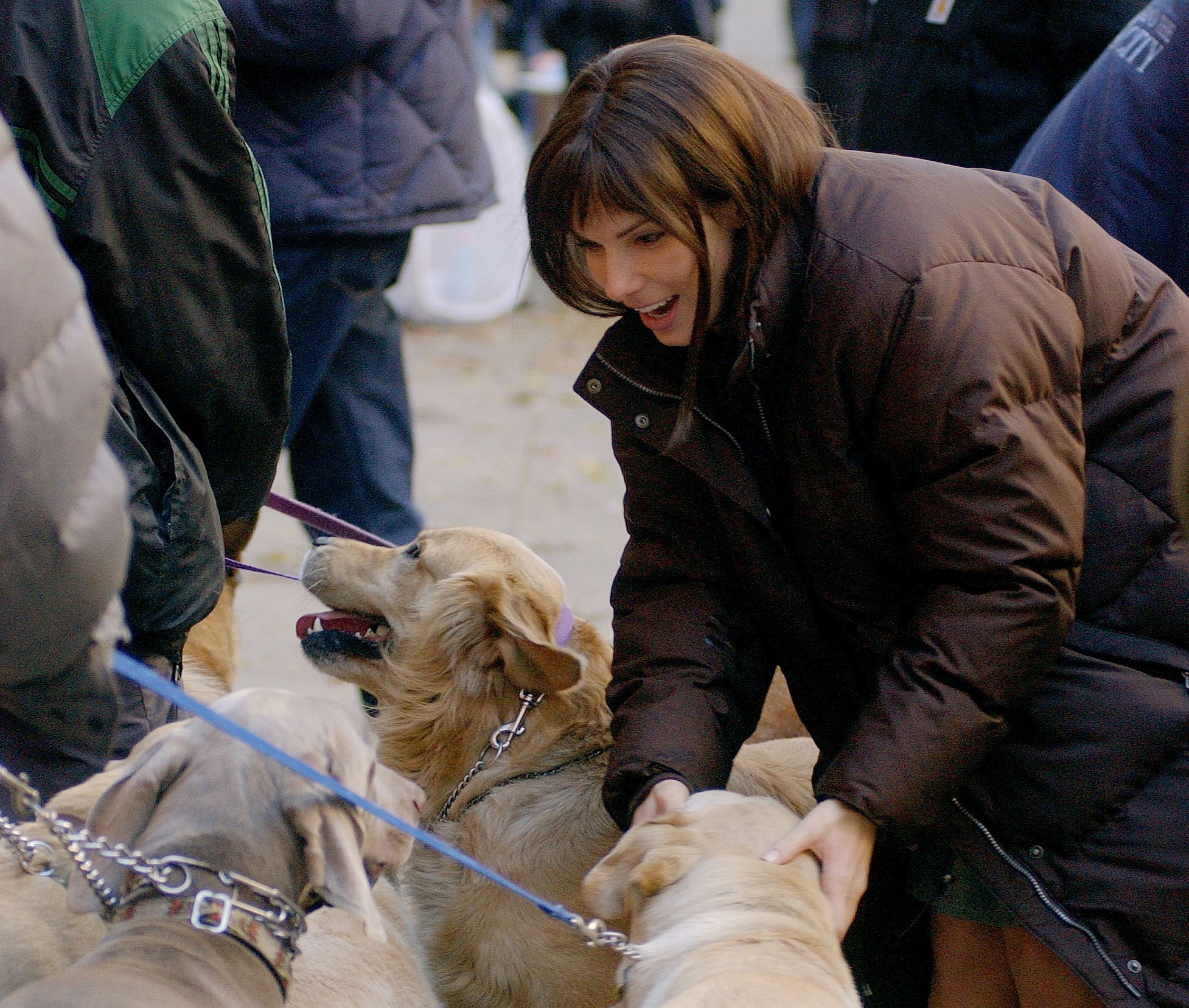 Celebrities Who Really Love Their Dogs