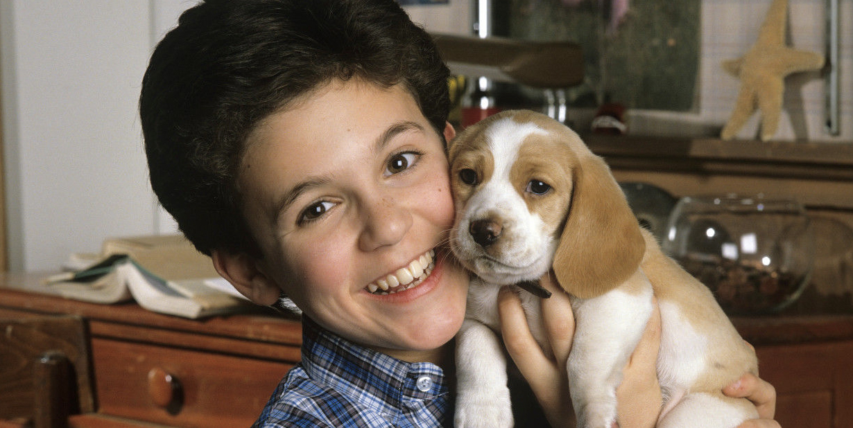 The Best TV Dogs Of All Time