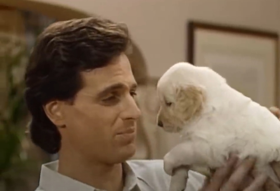 The Best TV Dogs Of All Time