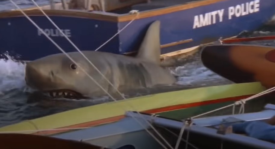 The Best Shark Attack Movies, Ranked