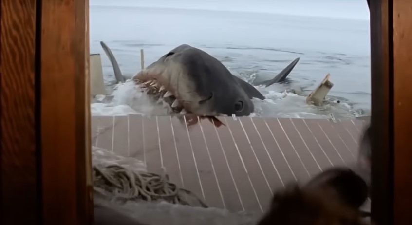 The Best Shark Attack Movies, Ranked