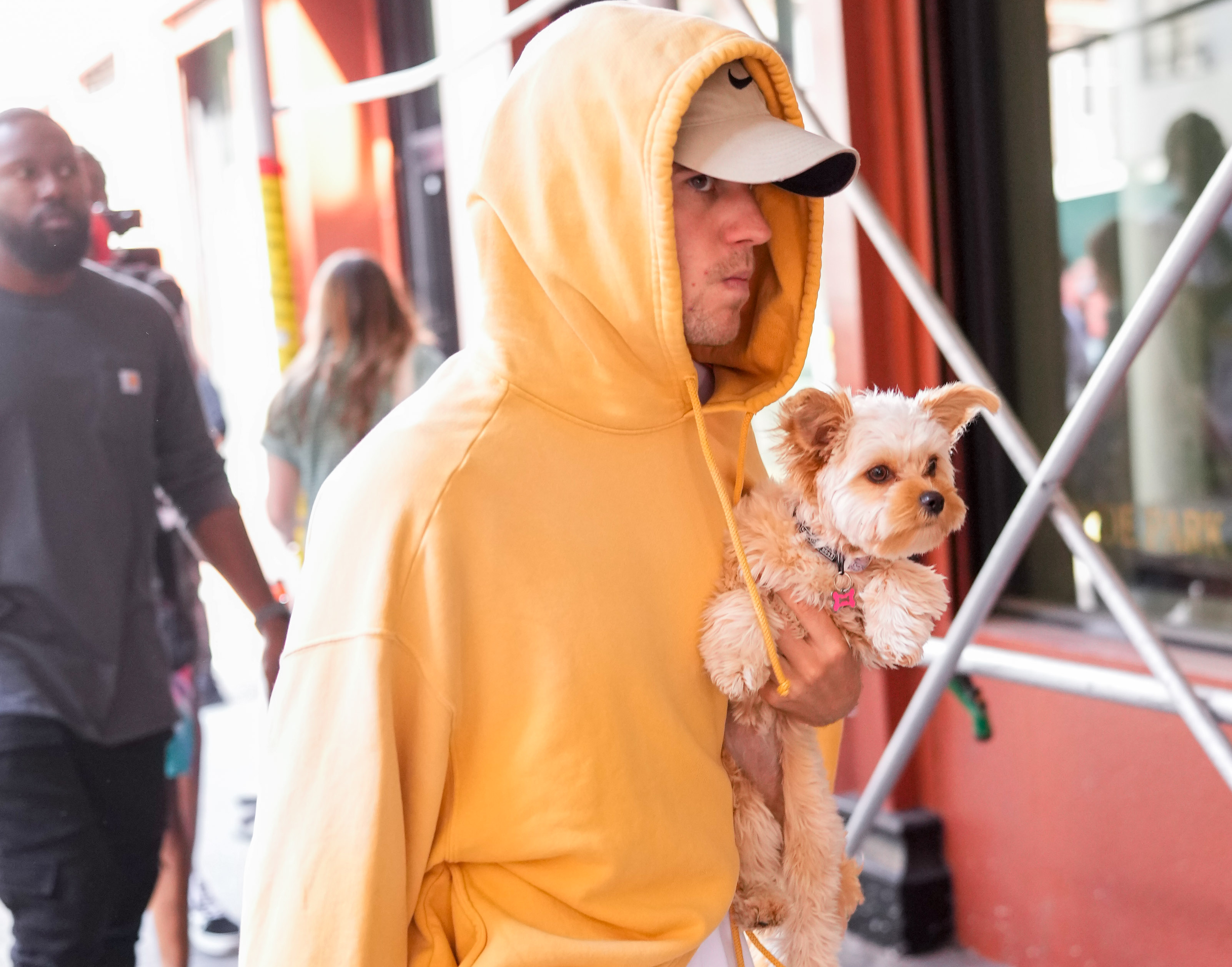 15 Famous Celebrity Pets