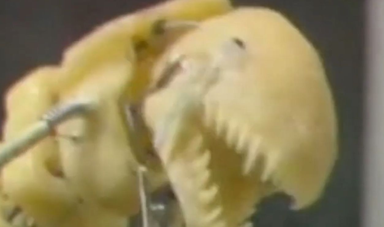 41 Snapshots Caught During Production Of Famous Movies When The Cameras ...