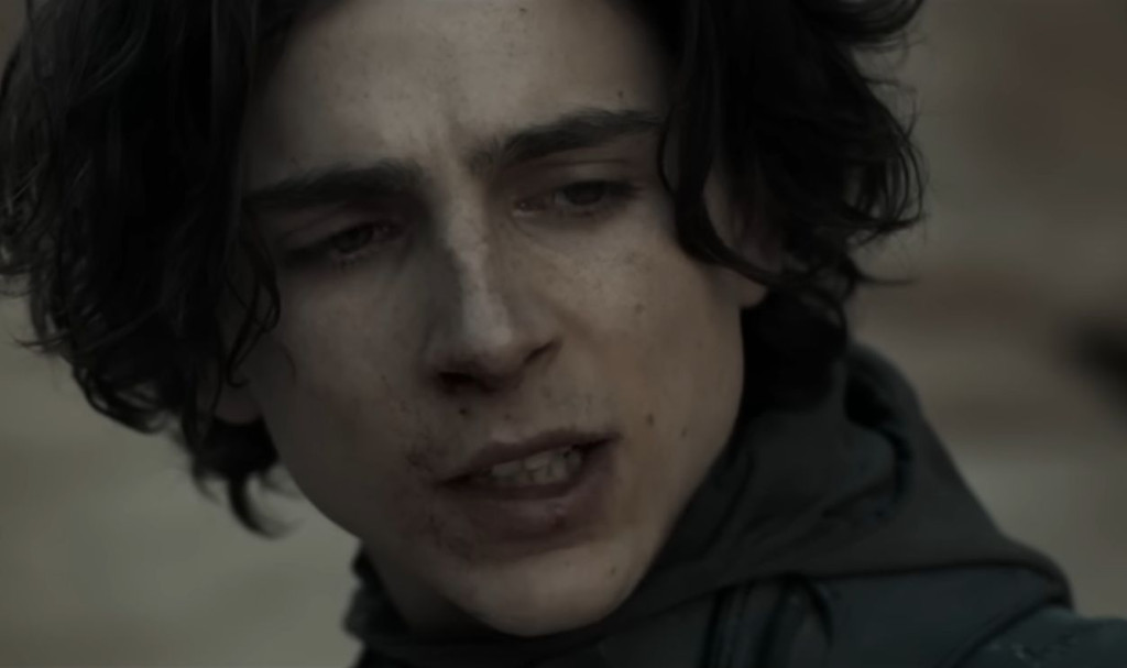 Timothee Chalamet's Most Memorable And Career-Defining Movie Roles
