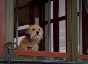 The Best Movie Dogs Of All Time, Ranked