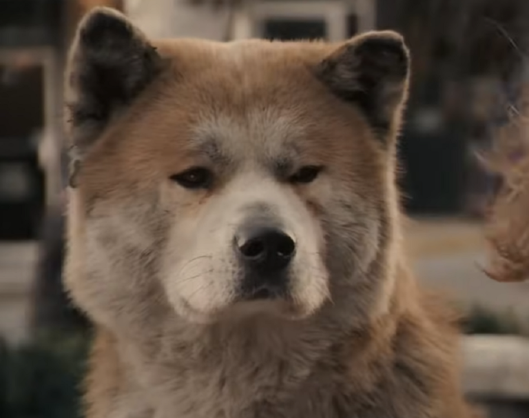 The Best Movie Dogs Of All Time, Ranked