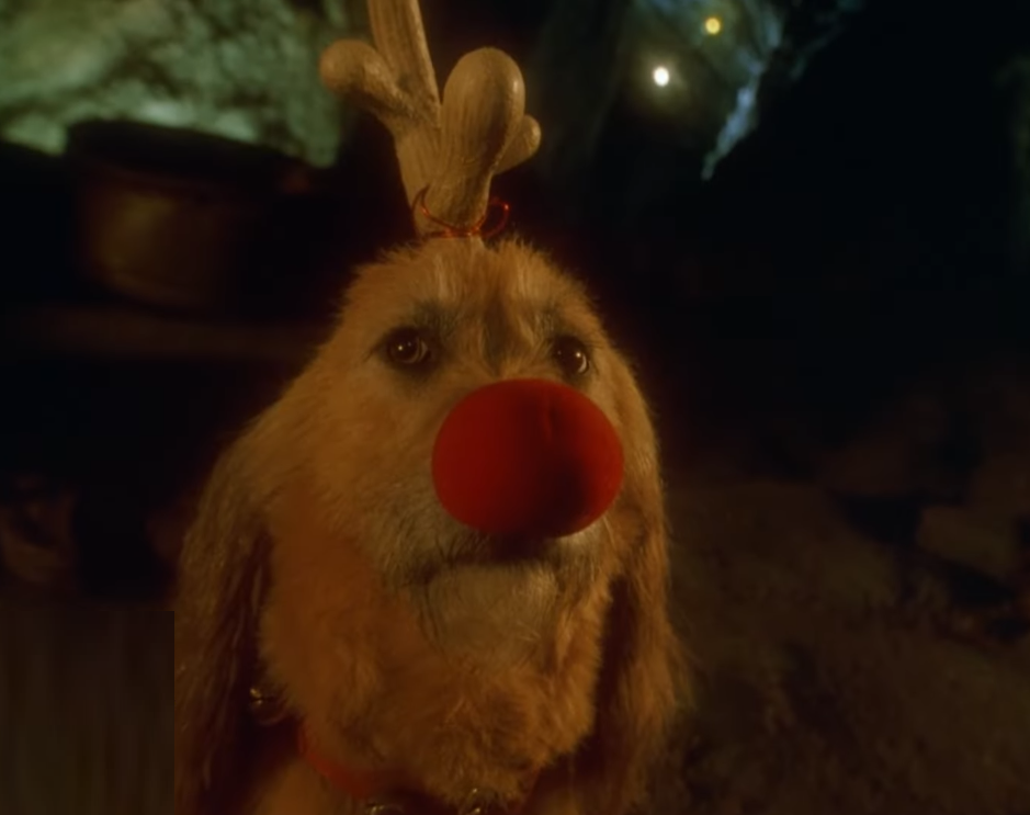 The Best Movie Dogs Of All Time, Ranked