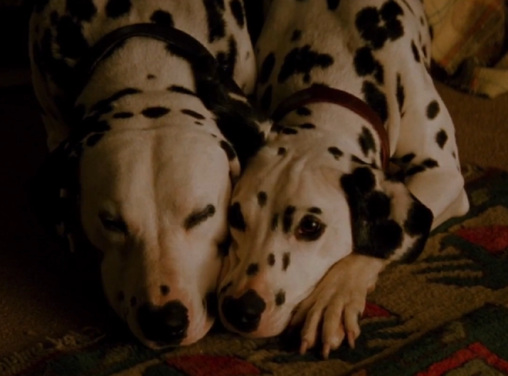 The Best Movie Dogs Of All Time, Ranked