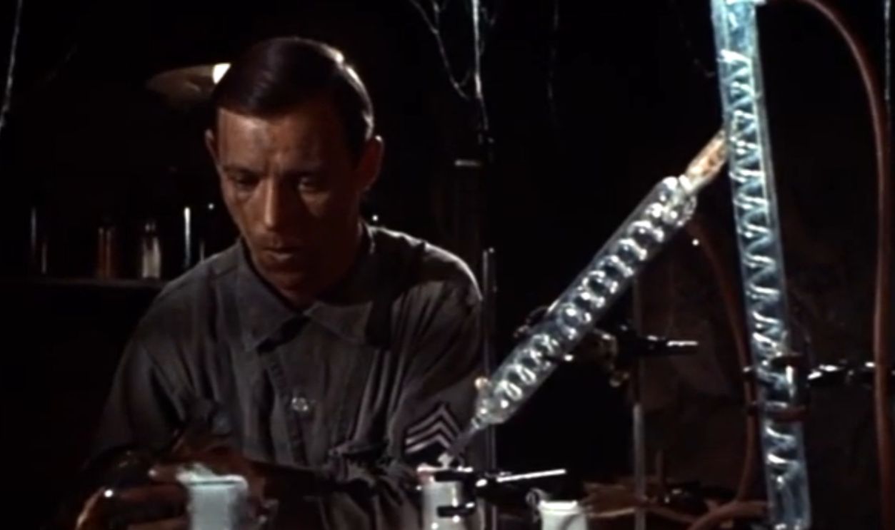 The Real-Life Stories Of 8 Hogan's Heroes Characters