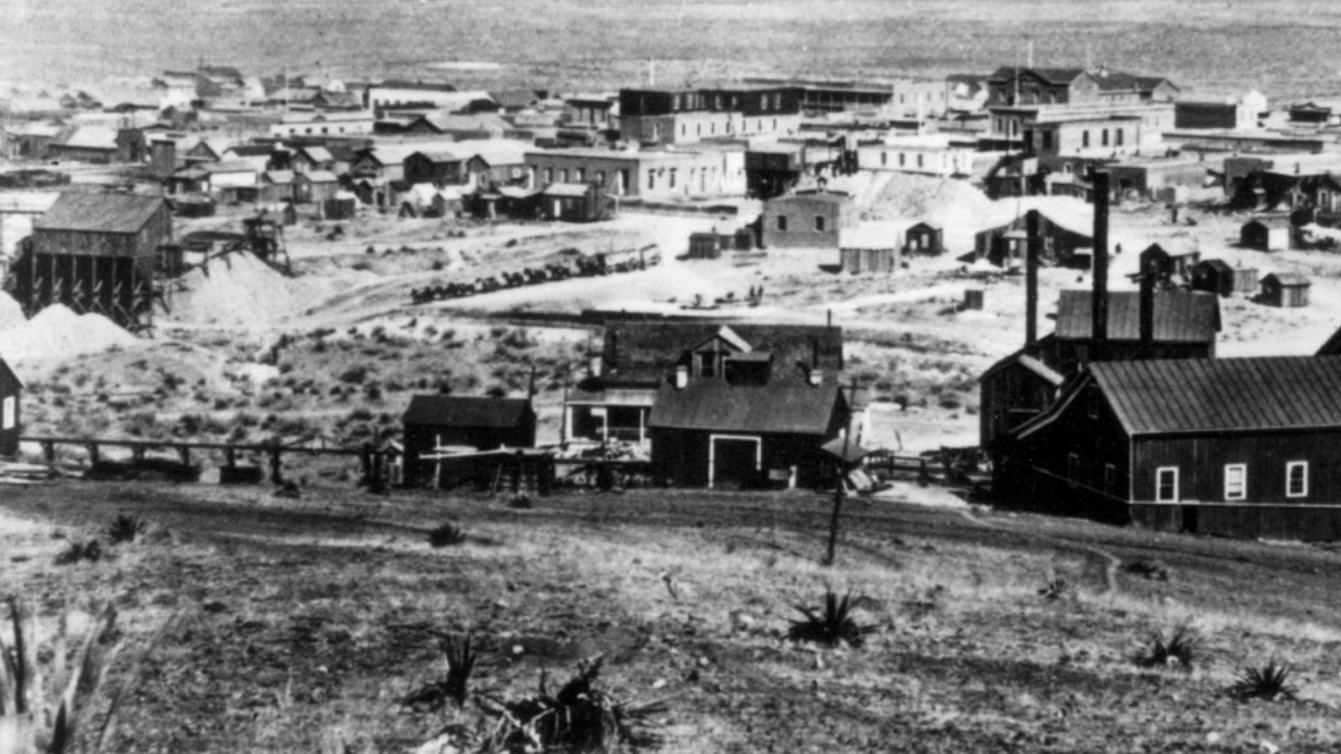 Hidden Truths About Doc Holliday That Western Films Only Hinted At