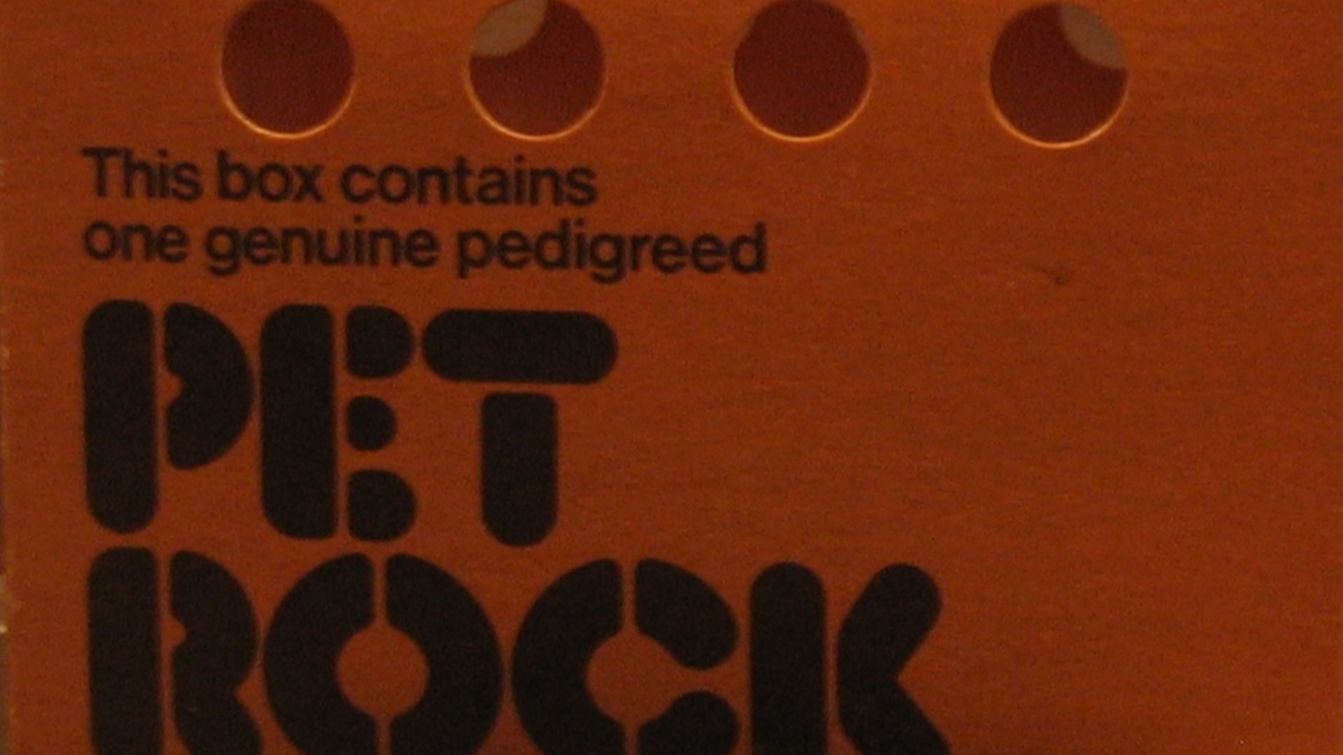 Every Number 1 Song, Show, Movie And More From 1975—Ready To Feel ...
