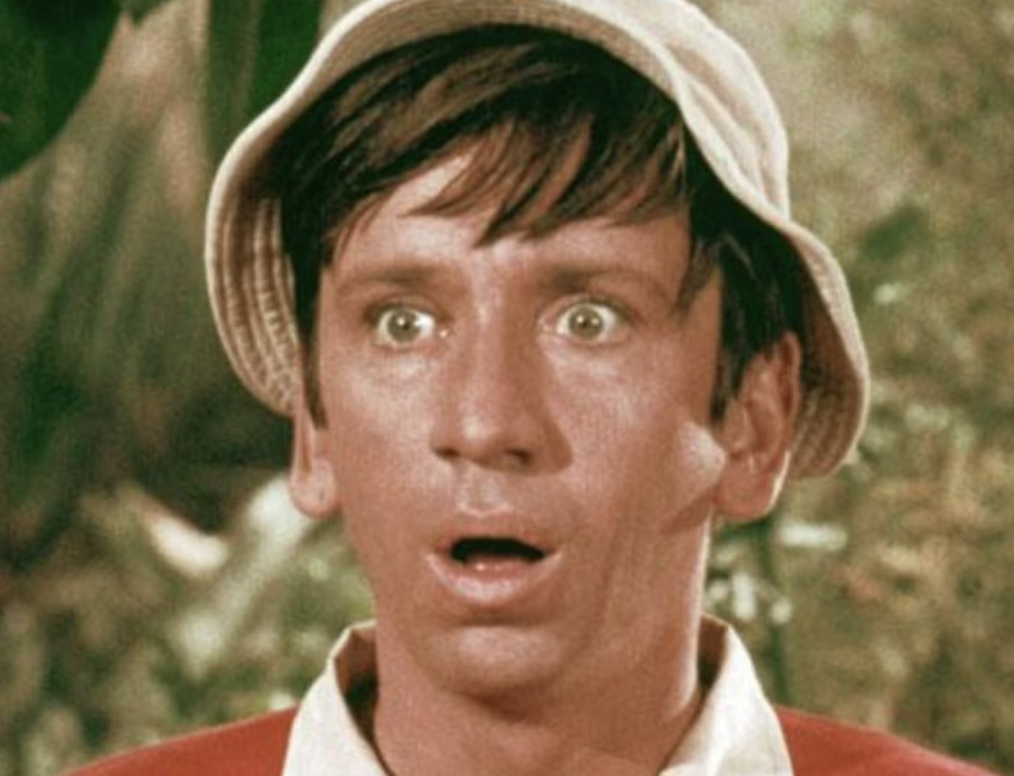 Behind The Scenes Of Gilligan’s Island