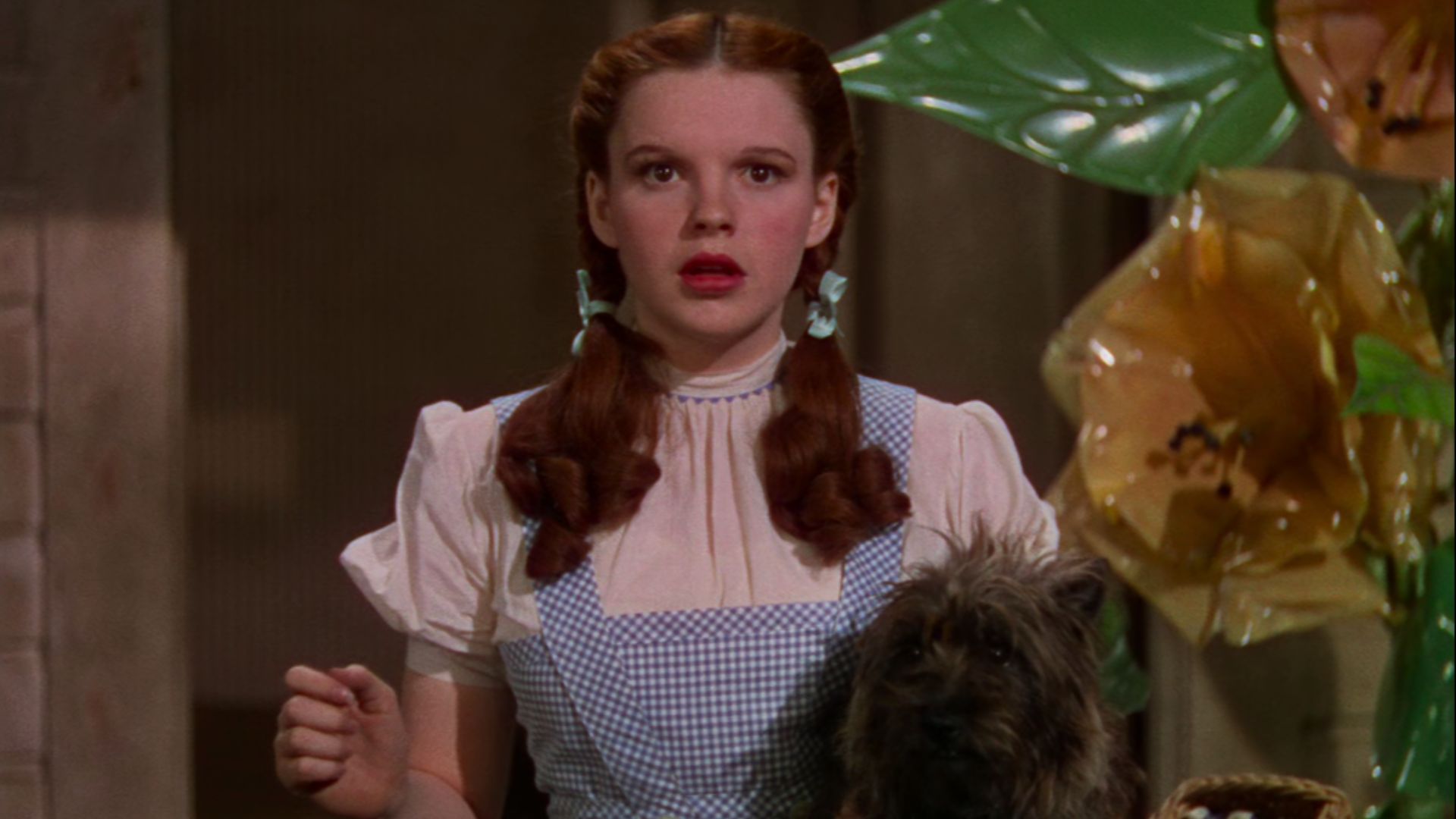 The Most Beautiful Use Of Color In Movies