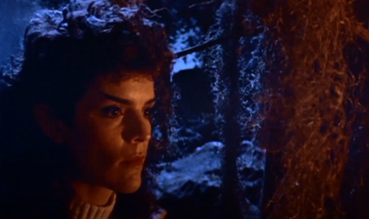 Star Trek Characters Who Disappeared Without Explanation