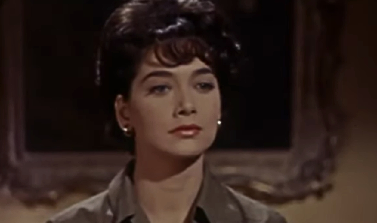 The Multifaceted Acting Career Of Suzanne Pleshette