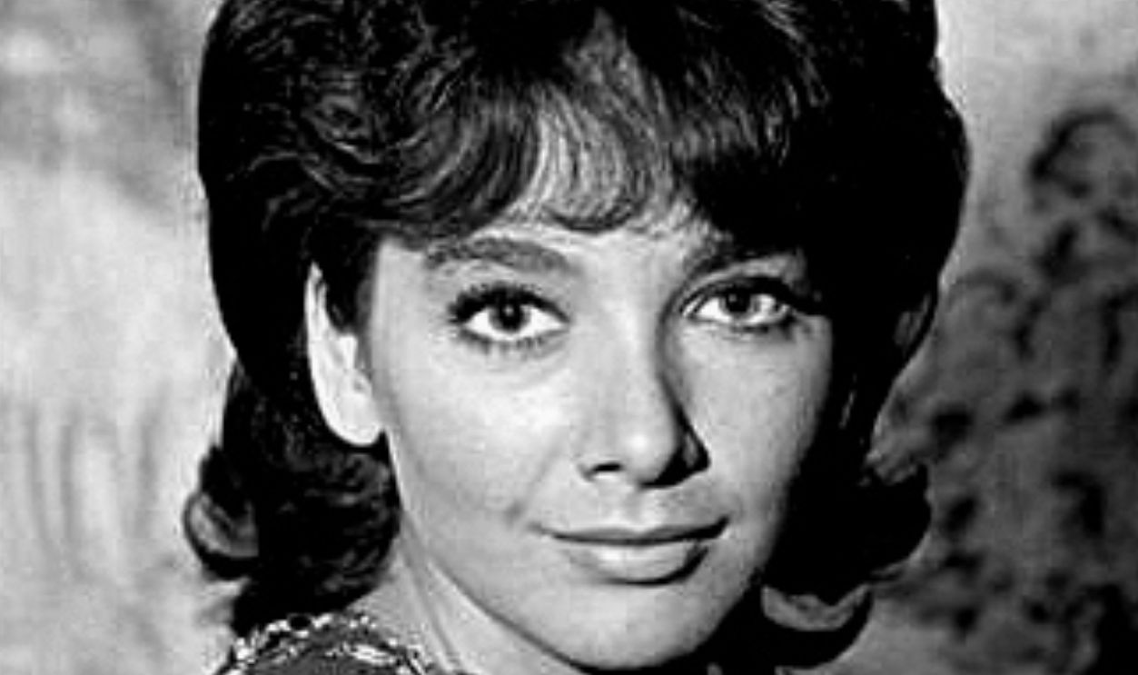 The Multifaceted Acting Career Of Suzanne Pleshette