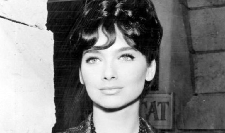 The Multifaceted Acting Career Of Suzanne Pleshette