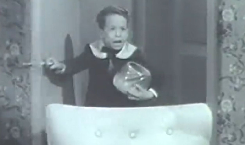 Rusty Hamer was TV’s lovable son on Make Room for Daddy—but after the ...
