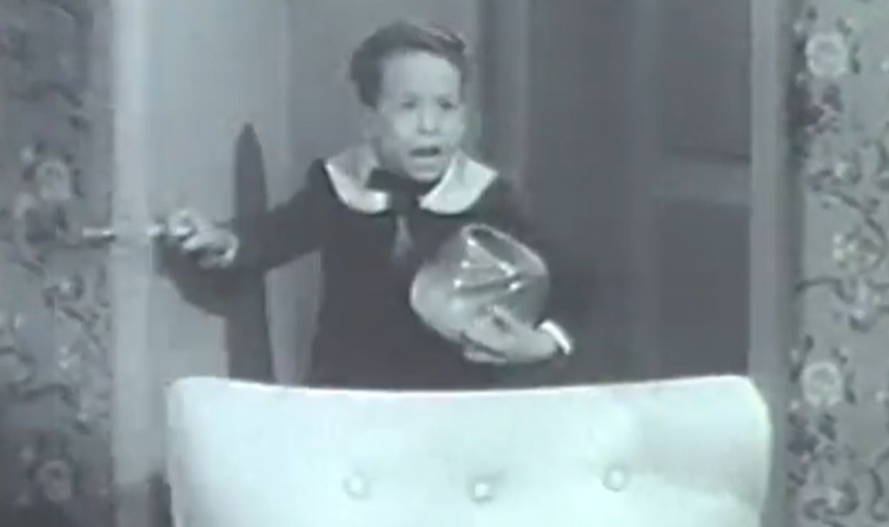 Rusty Hamer was TV’s lovable son on Make Room for Daddy—but after the ...